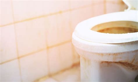 Toilet Cleaning How To Effectively Revoke Yellow Stains From Toilet