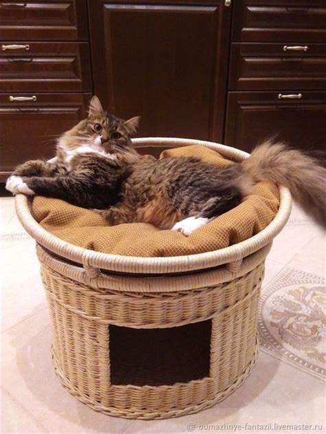 Indoor Cat House Styles That Make Your Cat Happy Home And Garden