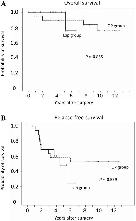 Overall Survival Curves A And Relapse Free Survival Curves B Of