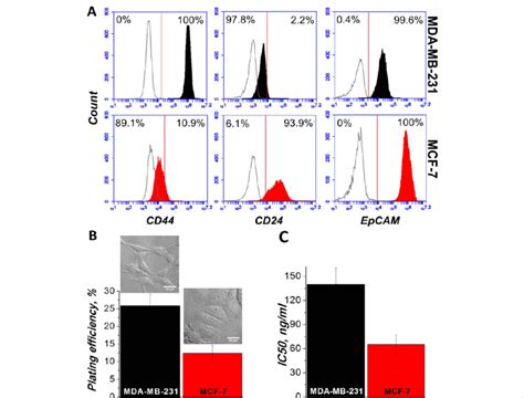 Phenotypical Profile Of Mcf 7 And Mda Mb 231 Breast Cancer Cell Lines