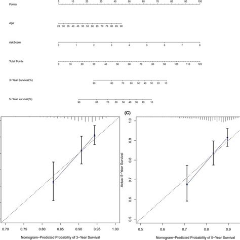 Nomogram And Calibration Curve Of Prognostic Risk Model A Nomogram