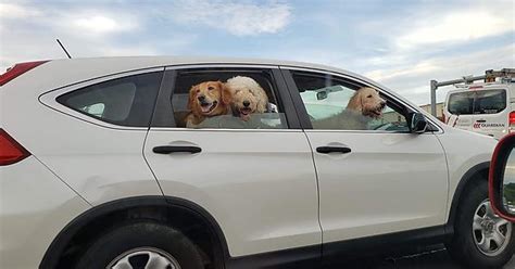 Get In Loser Were Going Shopping Album On Imgur