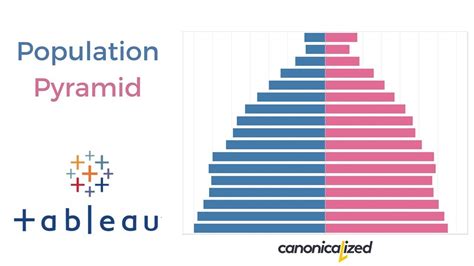 How To Build A Population Pyramid With Tableau Youtube
