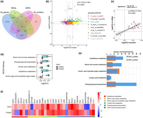 Integrative Transcriptome And Proteome Analysis Reveals Maize Responses