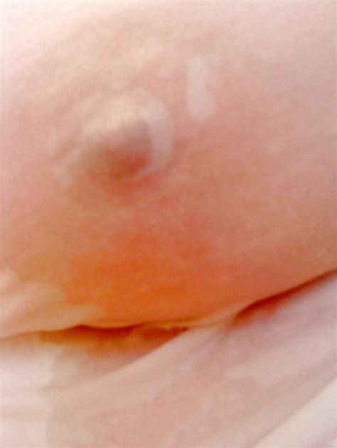 Wet T Shirt Porn Pictures Xxx Photos Sex Images 158828 Pictoa