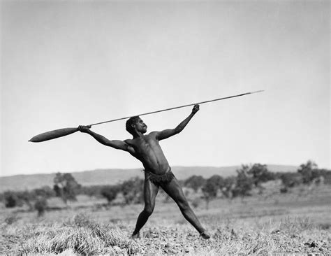 Spear Thrower Aboriginal Australian Aboriginals