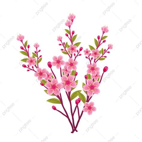 Vector Rosa Flor De Melocotón Material Vegetal Png Vector Rosado