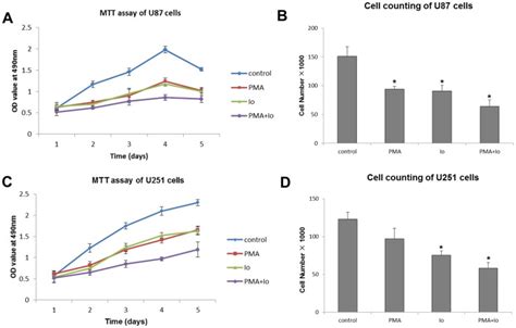proliferation was assessed by mtt assay and cell counting the cells