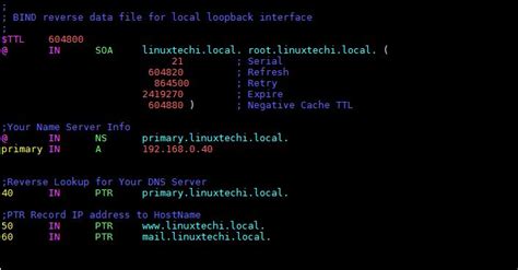 Cómo Instalar Y Configurar El Servidor Dns Bind 9 En Ubuntu Debian
