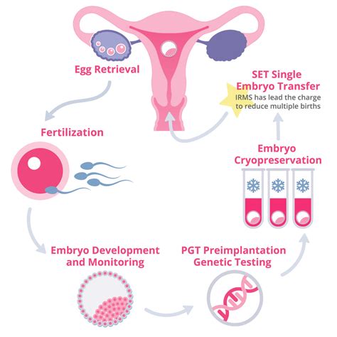Full Range Of Infertility Treatment Services And In Vitro Fertilization