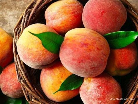 Simak 10 Manfaat Buah Persik Untuk Kesehatan Tubuh Apa Saja