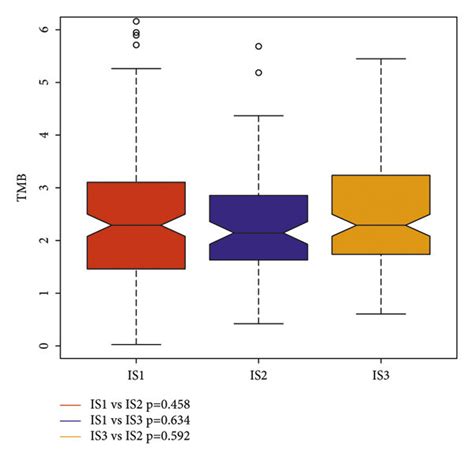 Relationship Between Immune Related Subtypes And Tmb Status Mutation