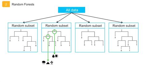 random forests sdm algorithm youtube