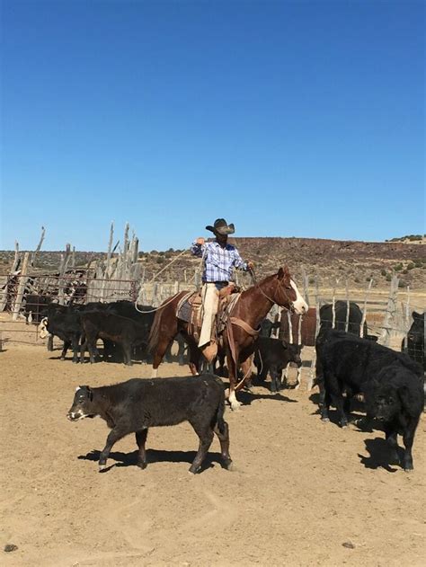 Arizona Ranchers Ranch Farm Dude Ranch Ranch Life Cattle Farming