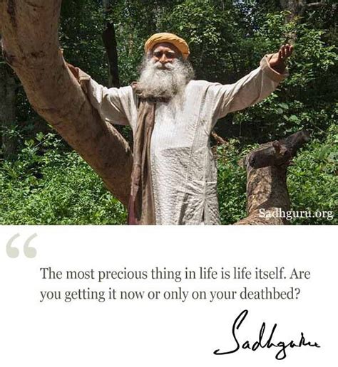 24th Feb Quote From Sadhguru Mystic Quotes Zen Quotes Osho Quotes