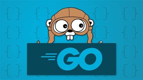 beginner guide to get started with golang by mayank gupta medium