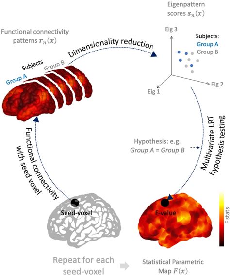 Figure 1 From Brain Wide Connectome Inferences Using Functional