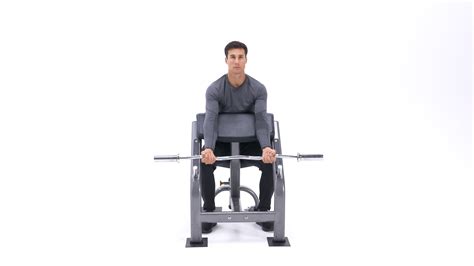 Preacher Curl Exercise Videos And Guides