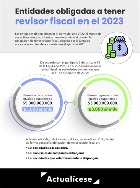 Obligados A Tener Revisor Fiscal En 2023 Actualícese