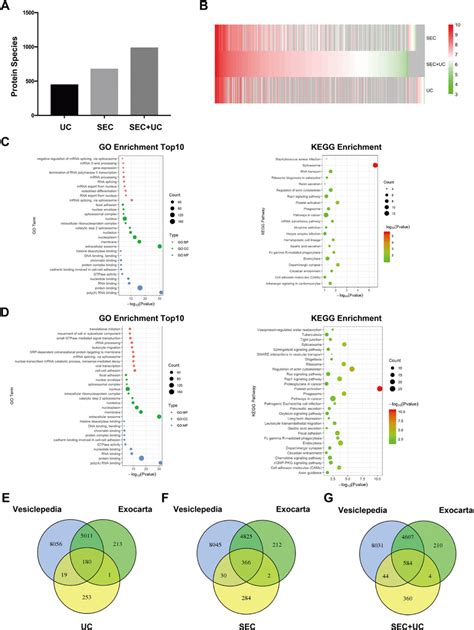 Proteomic Analysis Of Sevs Isolated By Uc Sec And Combining Sec With