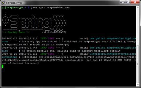 raspberry pi web server rgb led control over the internet
