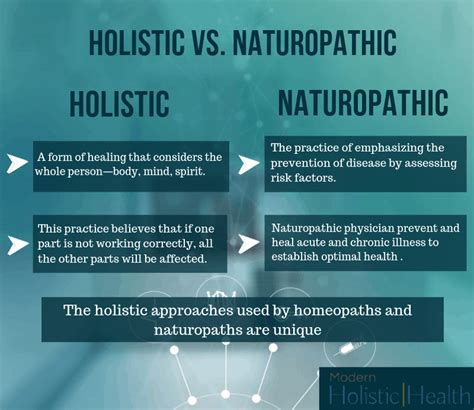 Holistic Doctor Vs Naturopathic Understanding The Differences