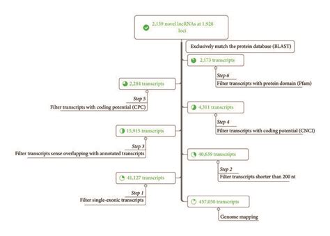 pipeline for predicting novel lncrnas download scientific diagram