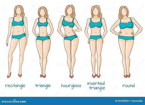 Le Corps Féminin Figure Des Formes De Femme Cinq Types Illustration