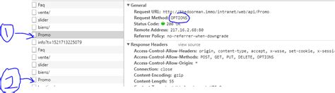 angular ie edge request header authorization was not