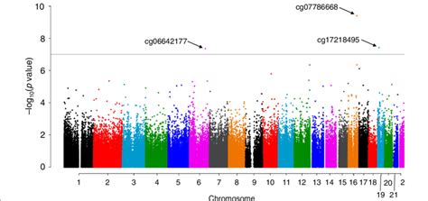 Manhattan Plot For Ewas Analysis Of Dnam And Mi The Horizontal Line