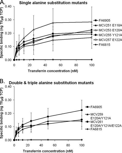 Alanine Substitution Mutants Bound Transferrin At Wild Type Levels In