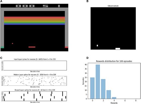 frontiers bindsnet a machine learning oriented spiking neural