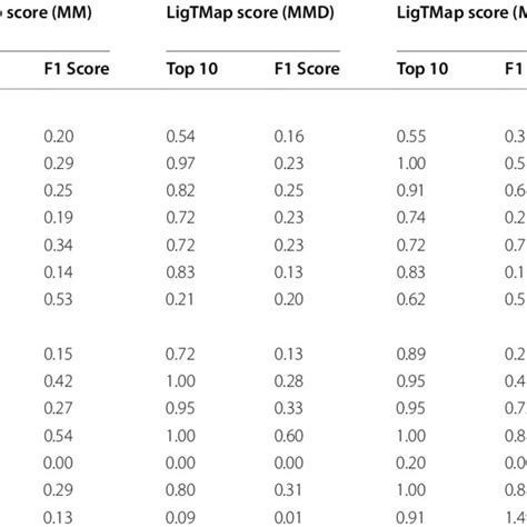 workflow of ligtmap for target class prediction for all classes