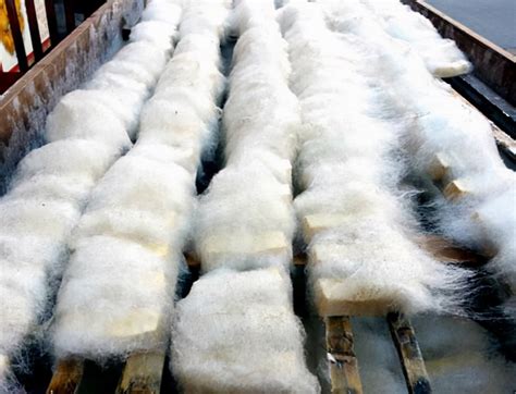 The Representative Of The Characteristic Of Anhui Cuisine Slightly