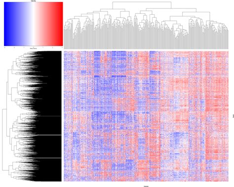 head and neck squamous cell carcinoma clustering of methylation