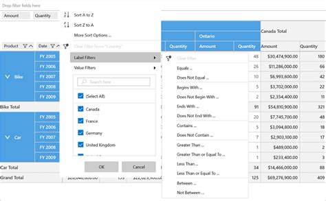 excel like filtering and sorting in uwp pivot grid control