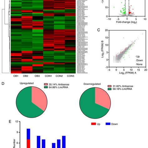 Identification Of Differentially Expressed Lncrnas A Heatmap Of