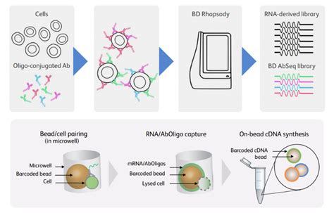 single cell multi omics marrying rna seq to protein expression and