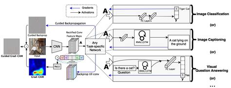 keras tensorflow implementation of grad cam class activation