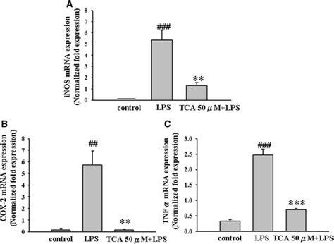 Effects Of Trans Cinnamaldehyde Tca On Mrna Expression Levels Of