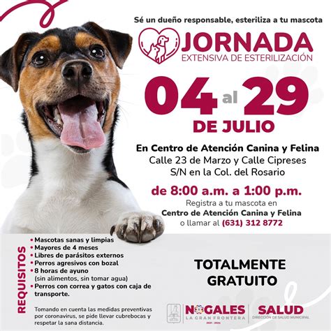 Gobierno Municipal De Nogales