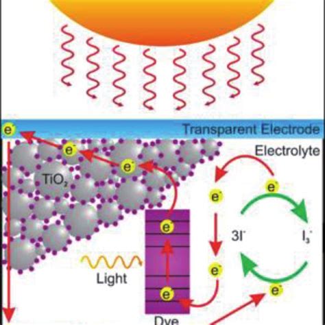 Schematic Device Structure Of A Typical Dye Sensitized Solar Cell Dssc