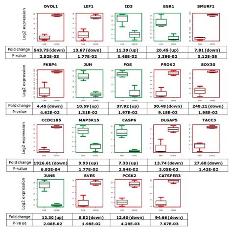 The Box Plots Represent The Sex Development Related Genes With