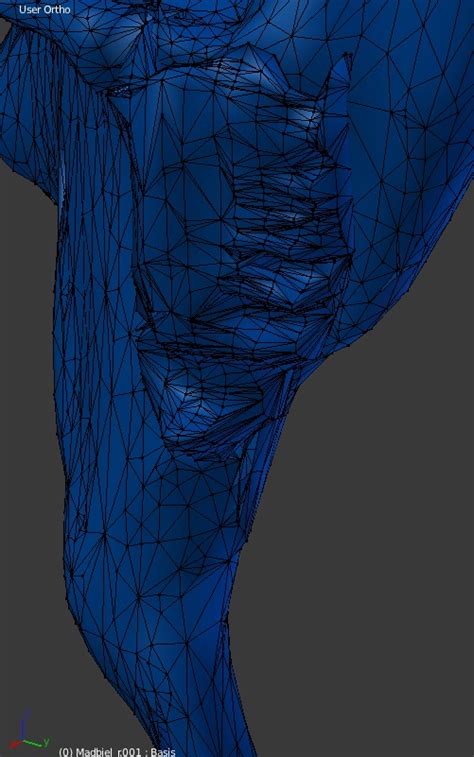 morphing meshes that come from reconstructed serial sections