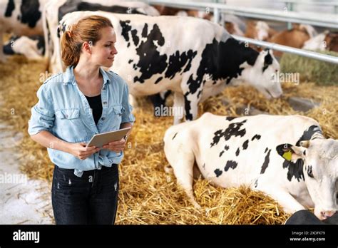 Modern Female Livestock Rancher Conducts An Indoor Inspection Of Her