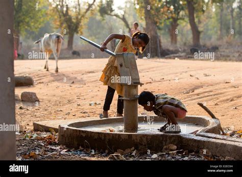 India Madhya Pradesh State Tala Bandhavgarh National Park Indians