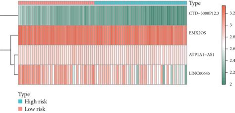 Prognostic Analysis Of The 4 Lncrna Risk Score In The Testing Set Of