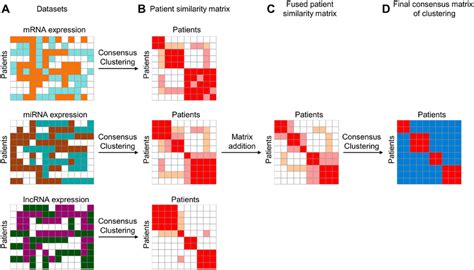 Illustrative Steps Of Integrated Consensus Clustering A Three