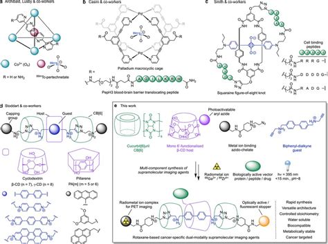Prominent Examples Of Supramolecular Complexes Developed As Molecular