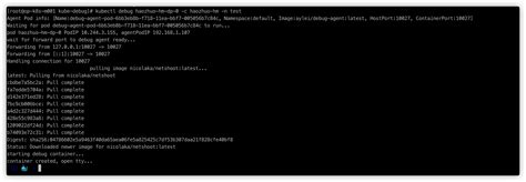 [kubernetes] kubernetes安装kubectl debug pod predicate podfitshostports